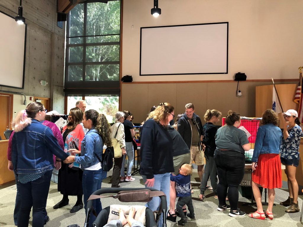 Kitsap Humane Society | Kitty Hall Was a Huge Success!