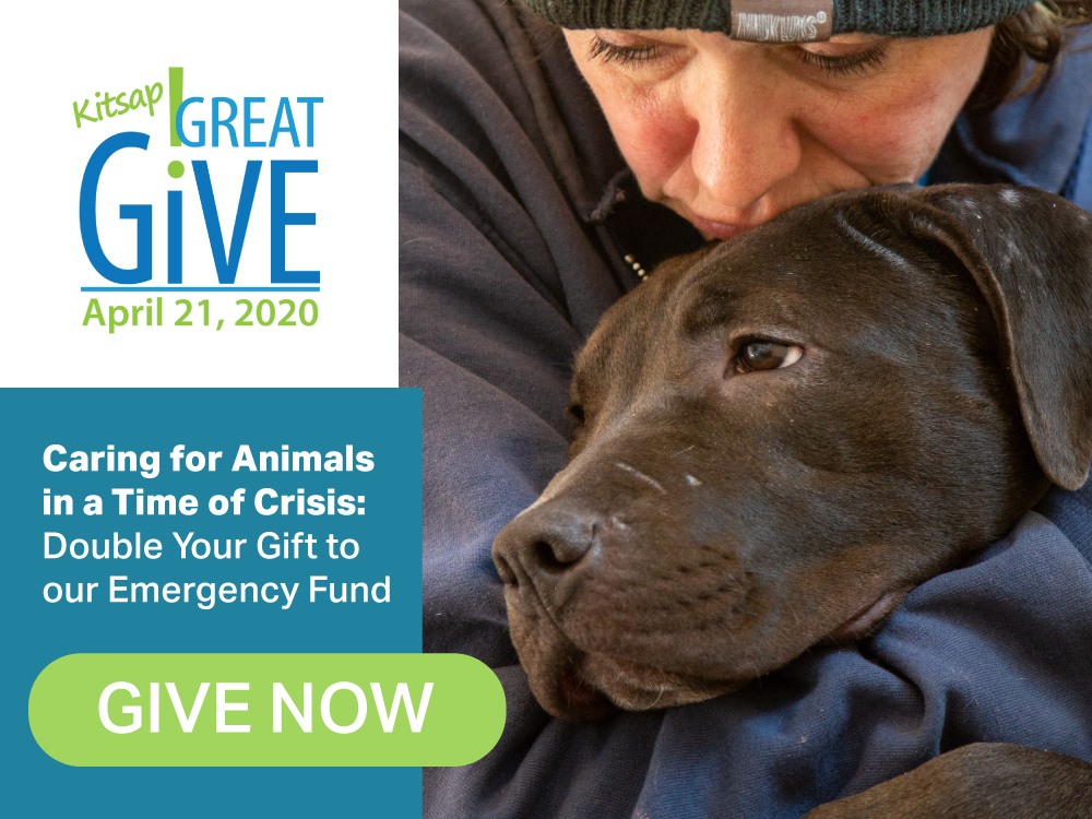 Kitsap Humane Society Kitsap Humane Society