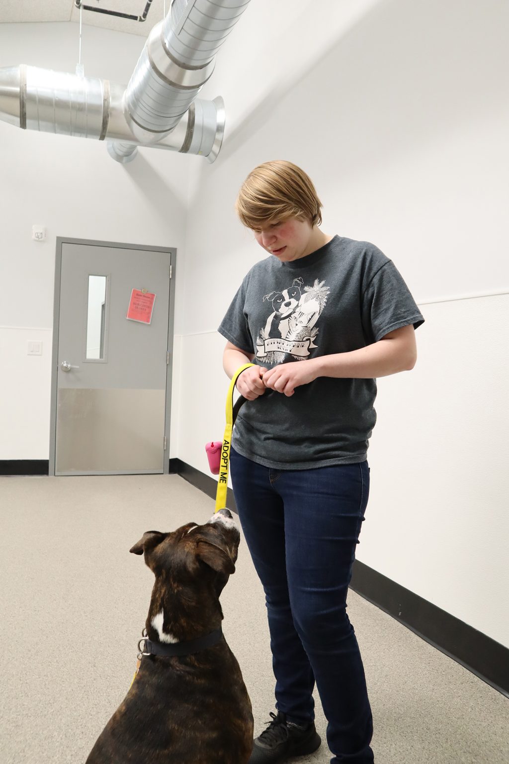 Kitsap Humane Society | New Behavior & Training Center for Dogs Now Open!